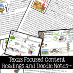 Texas History Free Enterprise System Activity - Social Studies Success
